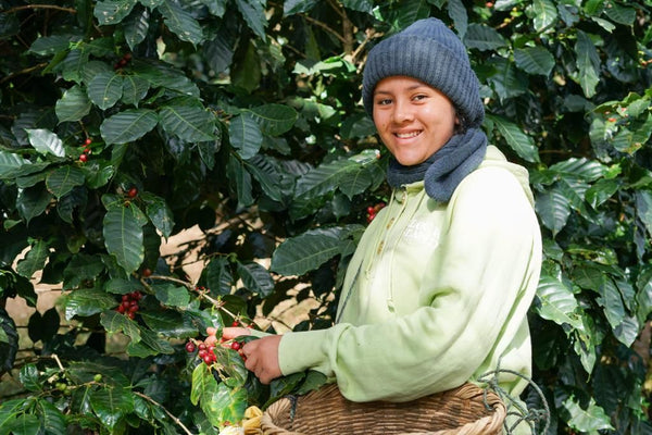 Litza, A Young Woman with Dreams That WILL Come True - San Lázaro Coffee