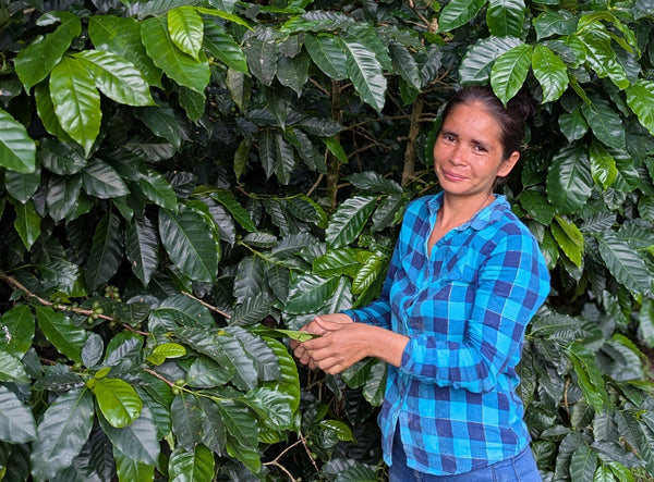 From Waiting to Thriving - San Lázaro Coffee