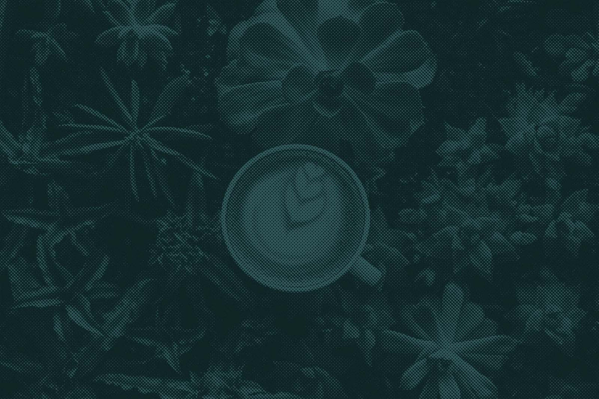 Buy Green Roasted & Honduras Coffee - San Lazaro Coffee